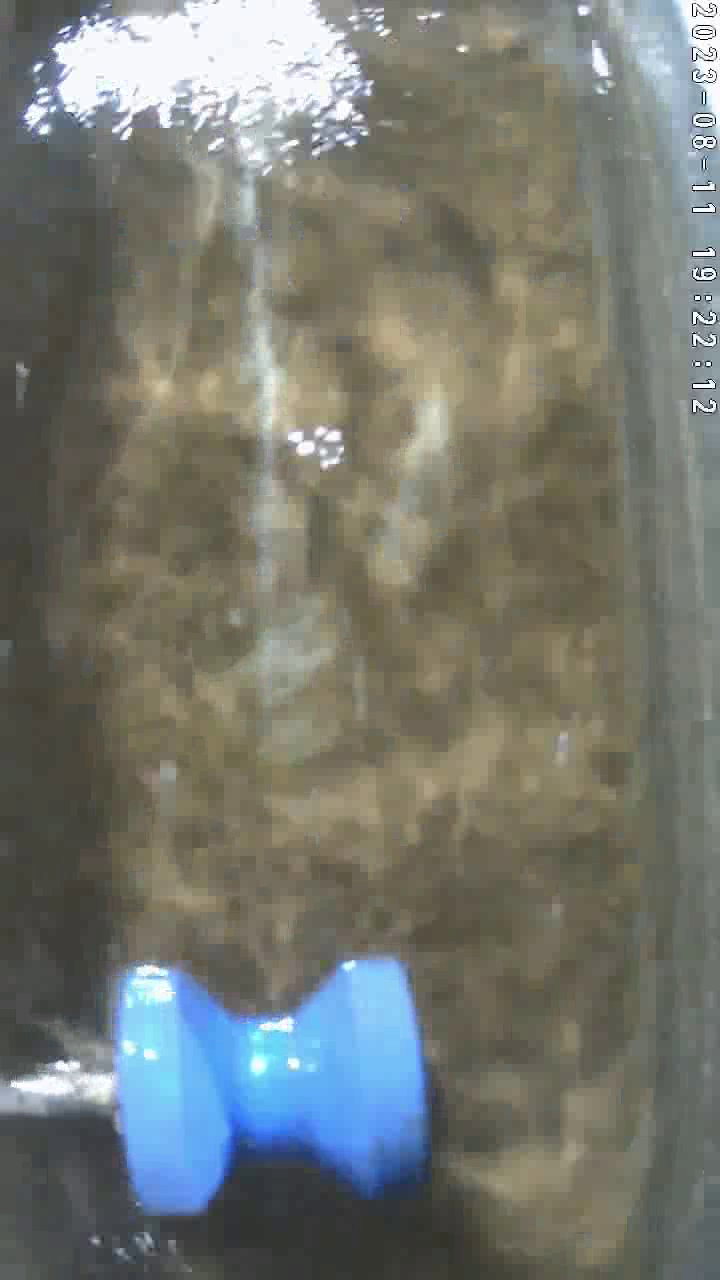 0828_all_bubble Object Detection Dataset by YtRecycle