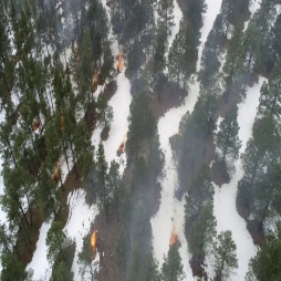 Object Detection Bounding Boxes Object Detection Bounding Boxes Rrcwe