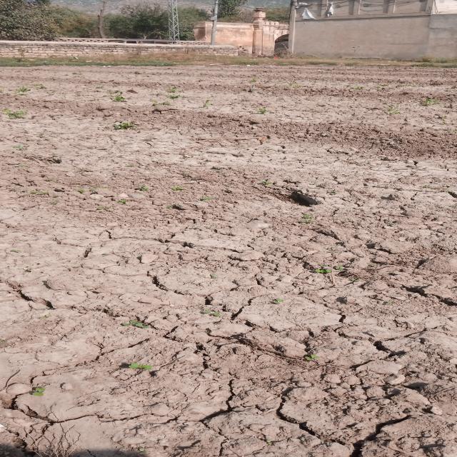 stype_classification_fnlv1 Classification Dataset by idk