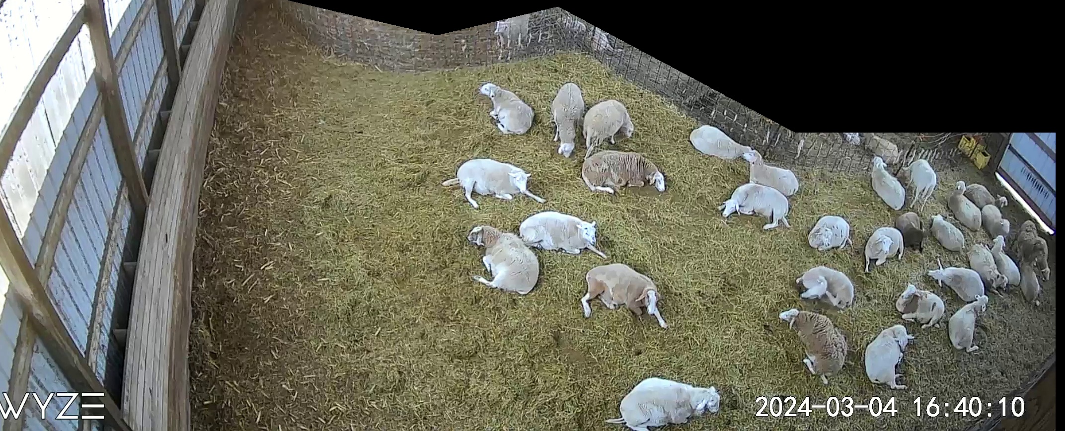 sheep_farming Object Detection Dataset and Pre-Trained Model by sheep