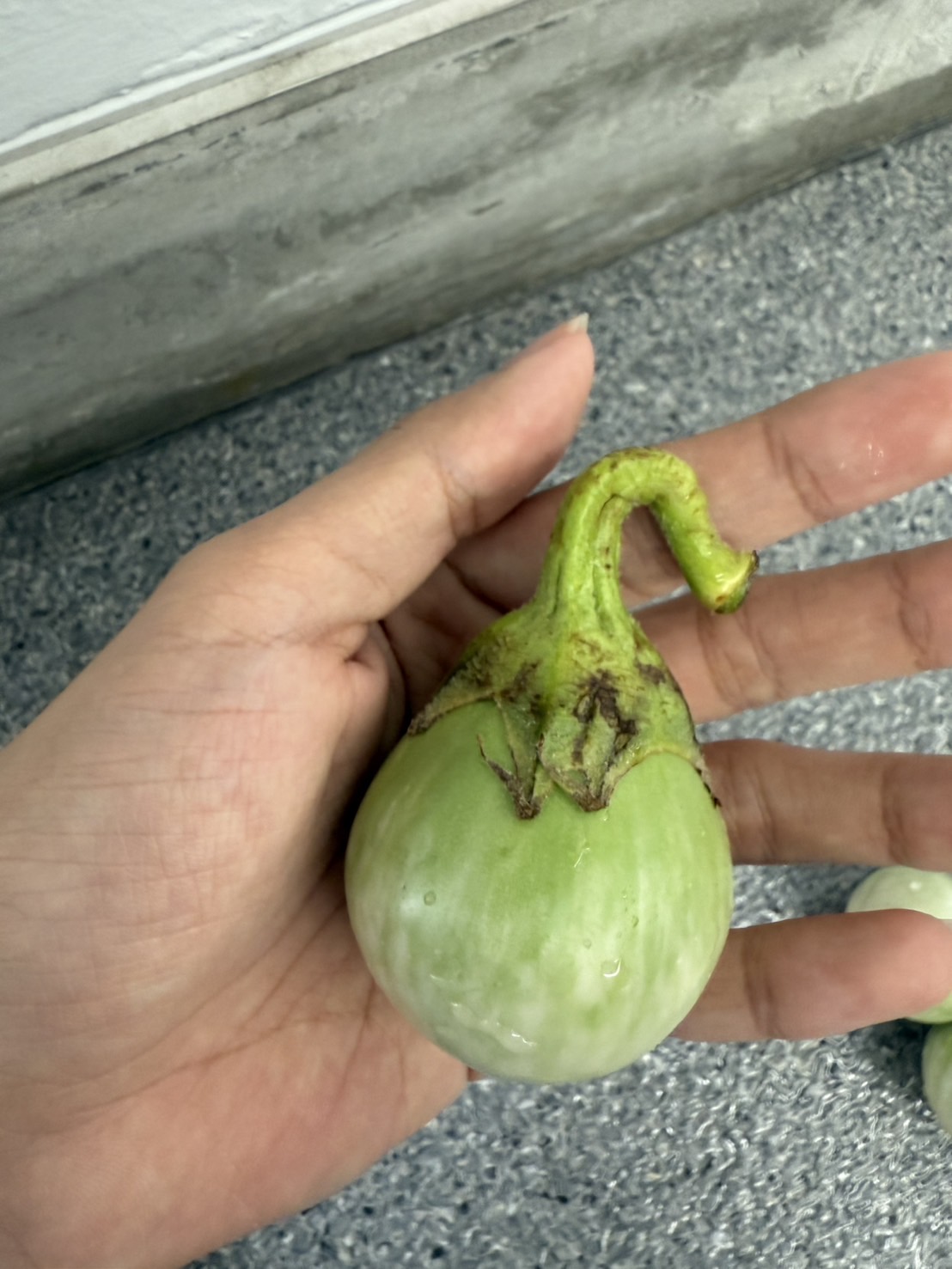 peryo (peryo-mpcbg) - Roboflow Universe