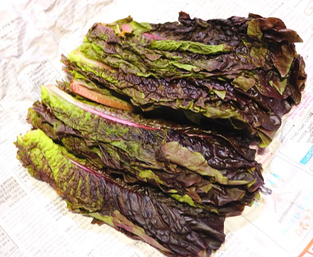 Korean Lettuce Object Detection Dataset by project-eefvh