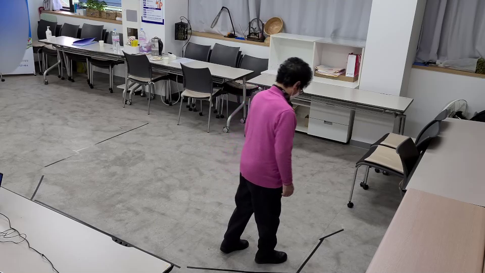 walk Object Detection Dataset by project-eefvh