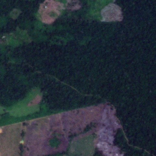 Defo_forest Instance Segmentation Dataset by SatDef