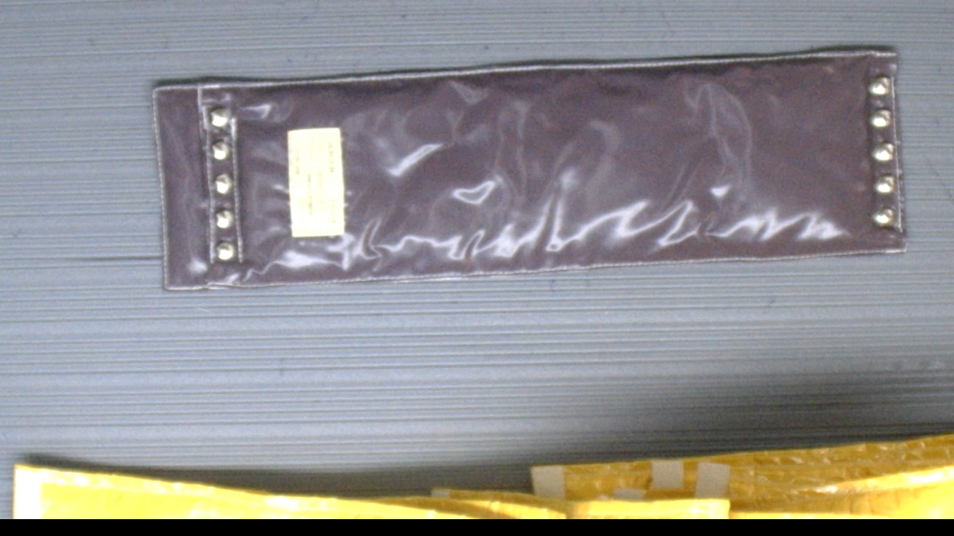 Hutchinson_Project_Dataset Instance Segmentation Model by firstone