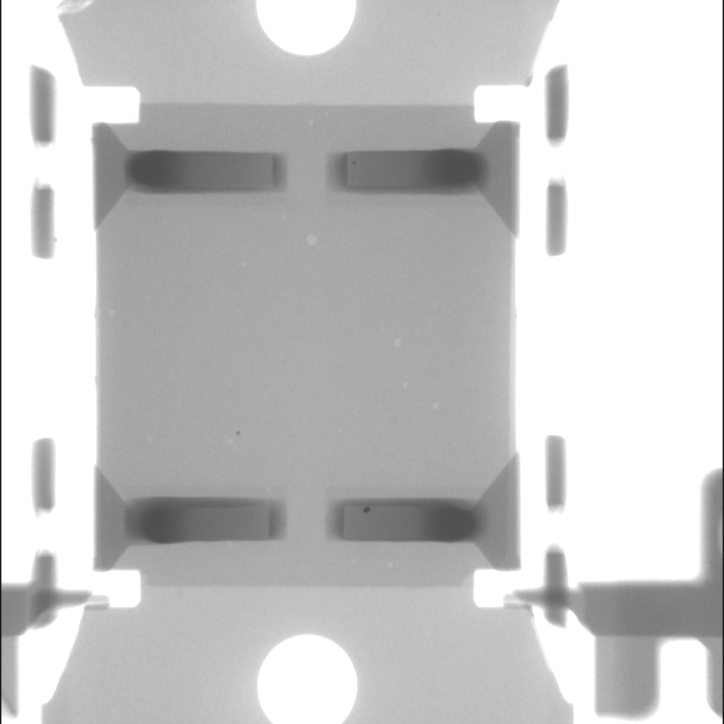 bubble-roi Object Detection Dataset and Pre-Trained Model by R2