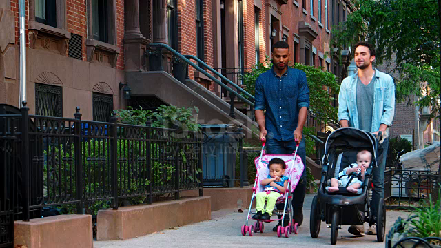 stroller detection Object Detection Model by school