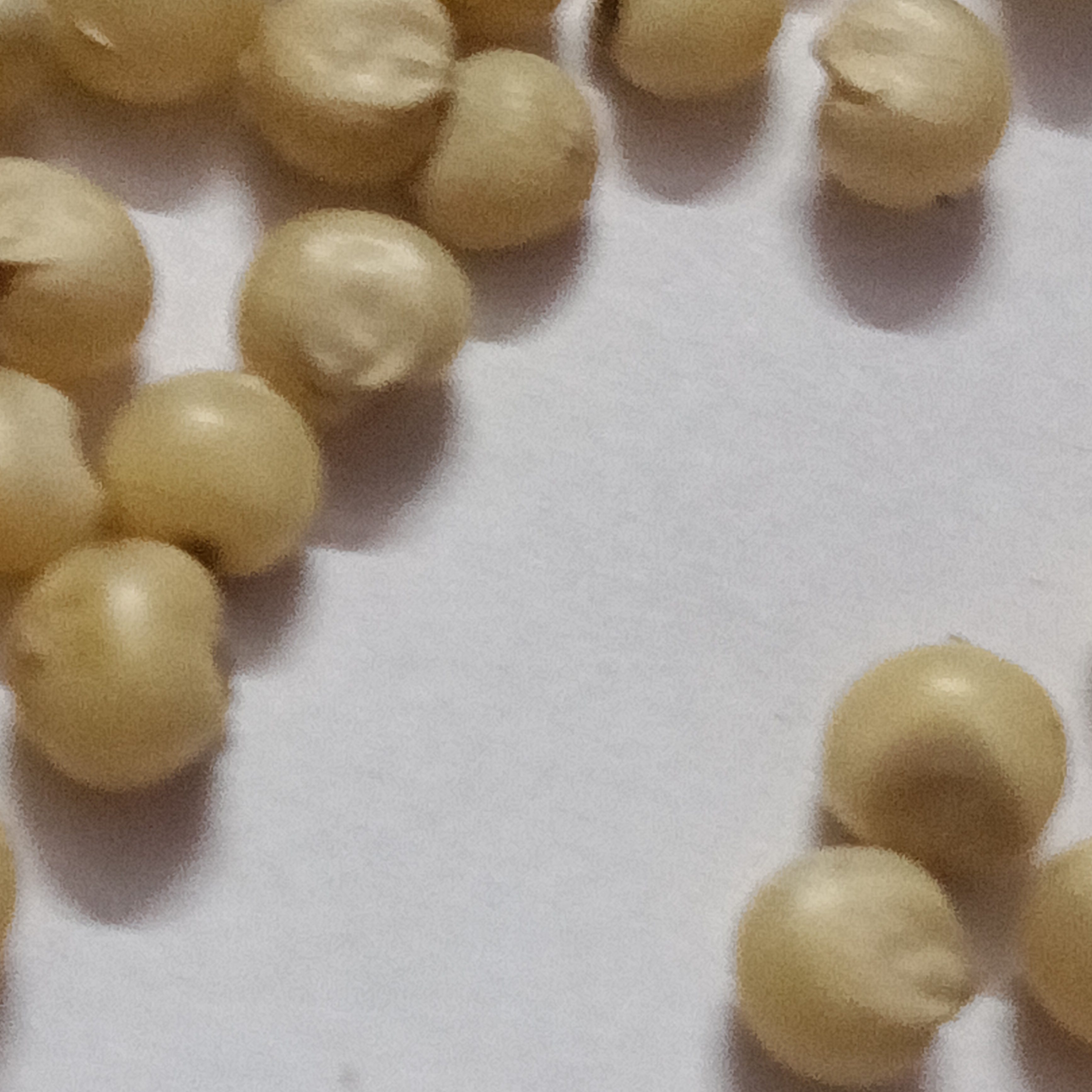 Plant Grain Detection Object Detection Dataset And Pre Trained Model By