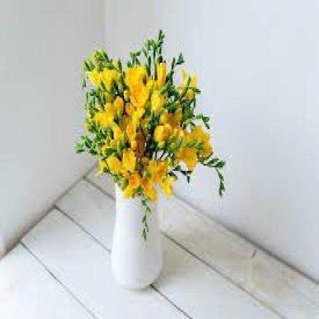 Flower Detection Annotation Change Object Detection Dataset by prem-anvesh