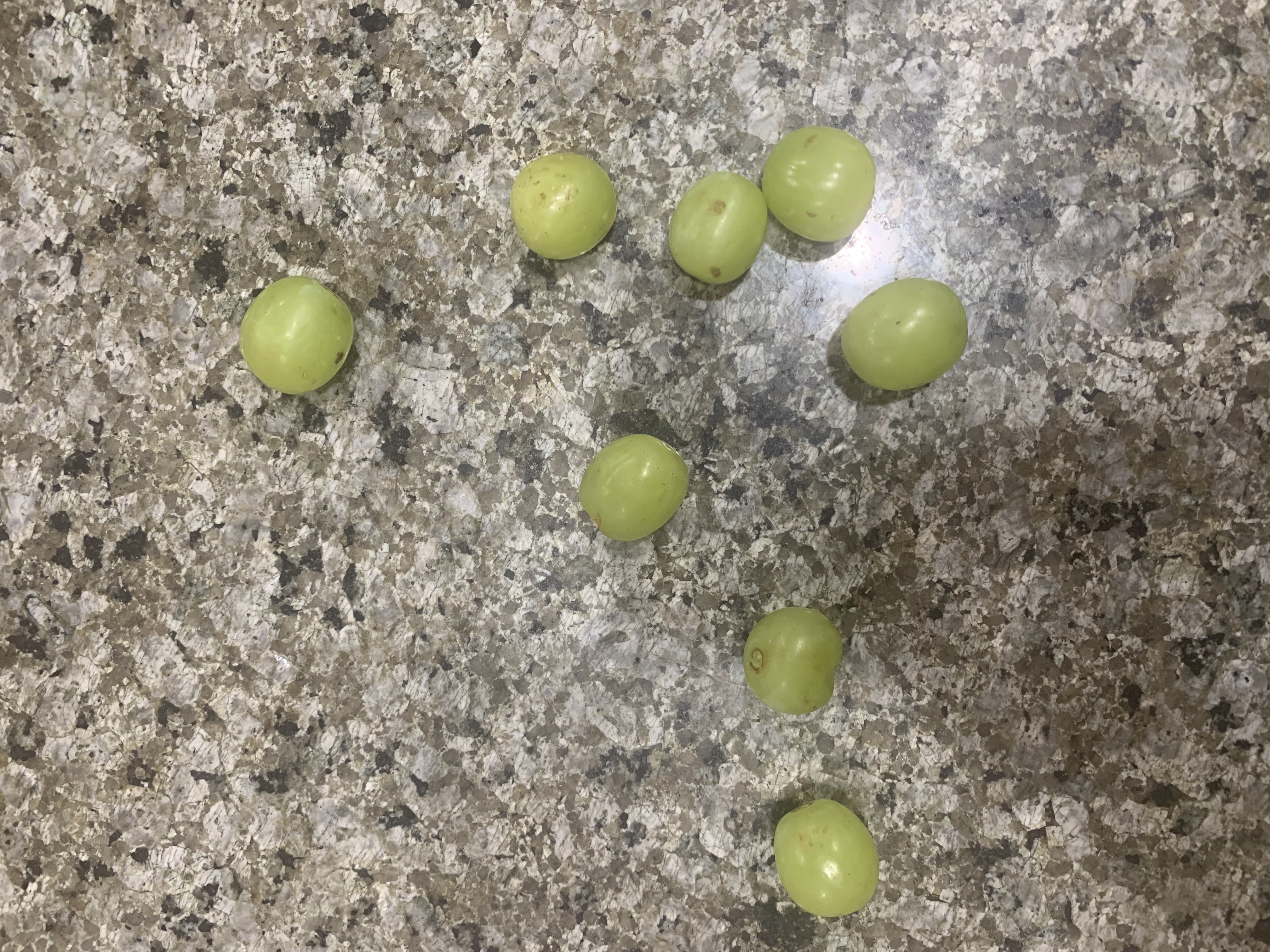 grape Instance Segmentation Dataset and Pre-Trained Model by ...