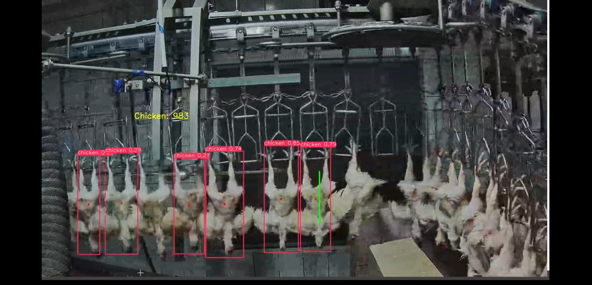 Chicken Models Object Detection Dataset And Pre Trained Model By Chicken