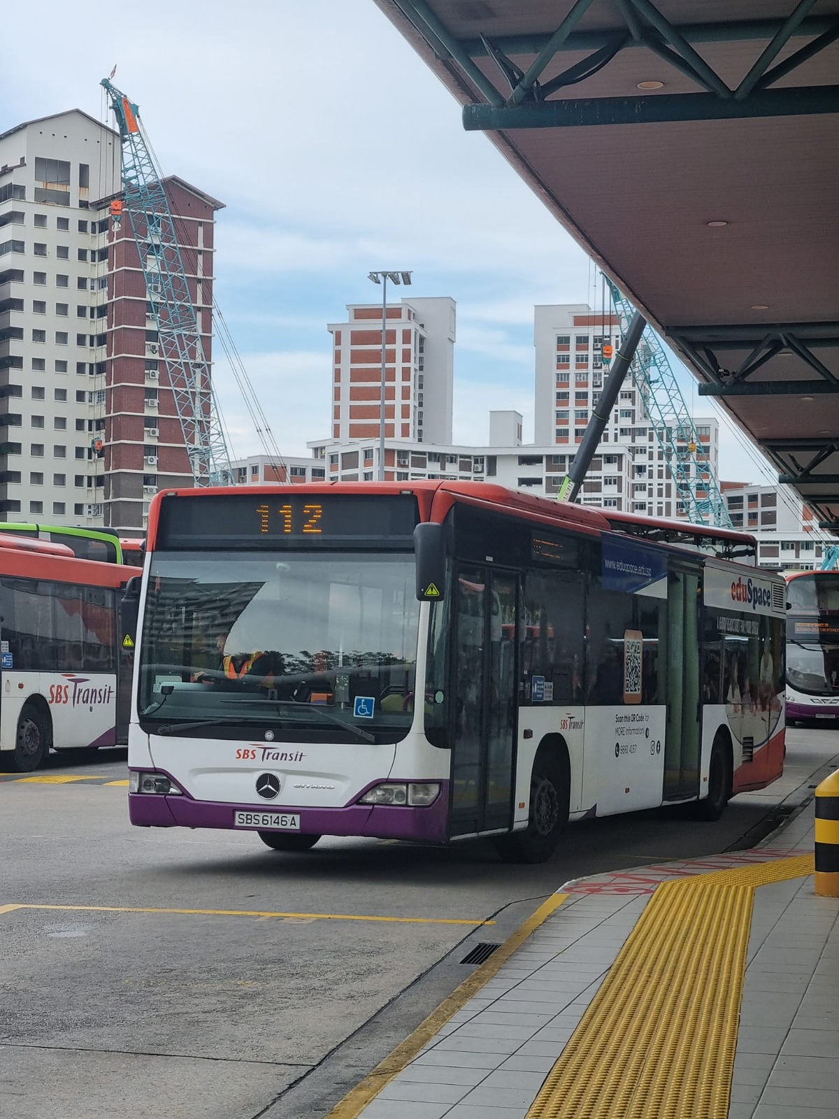 How to Use the Detect And Classify Single-label Classification Classification API