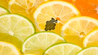 AnyThing Object Detection Dataset and Pre-Trained Model by GeetestV4