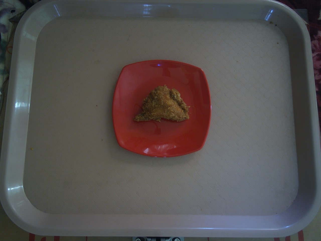 Food Labels Object Detection Dataset by Tugasakhirmeka