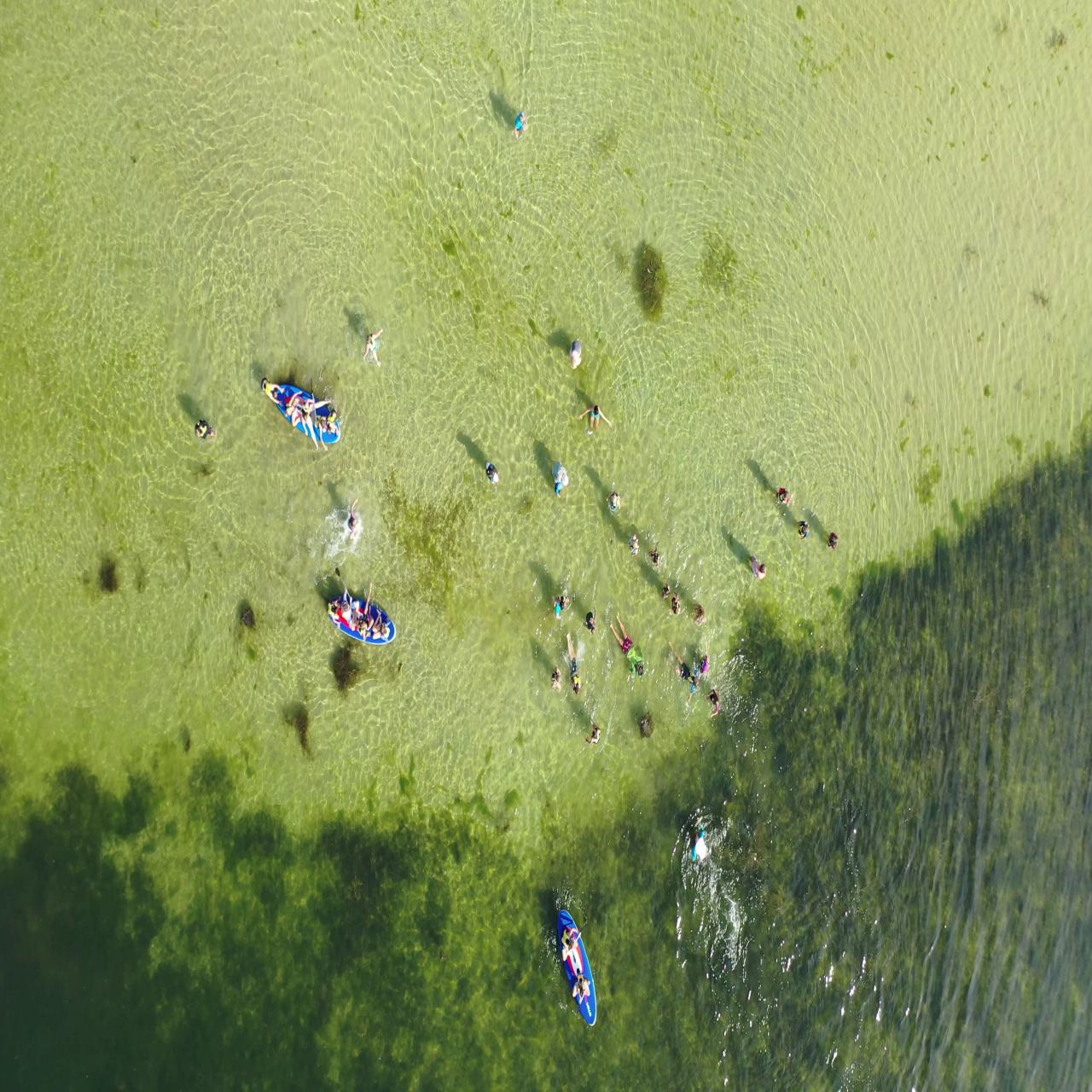 myyoloproject Object Detection Dataset and Pre-Trained Model by myworkspace