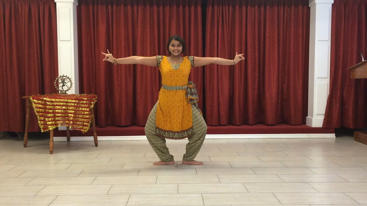 dance Object Detection Dataset by shyam
