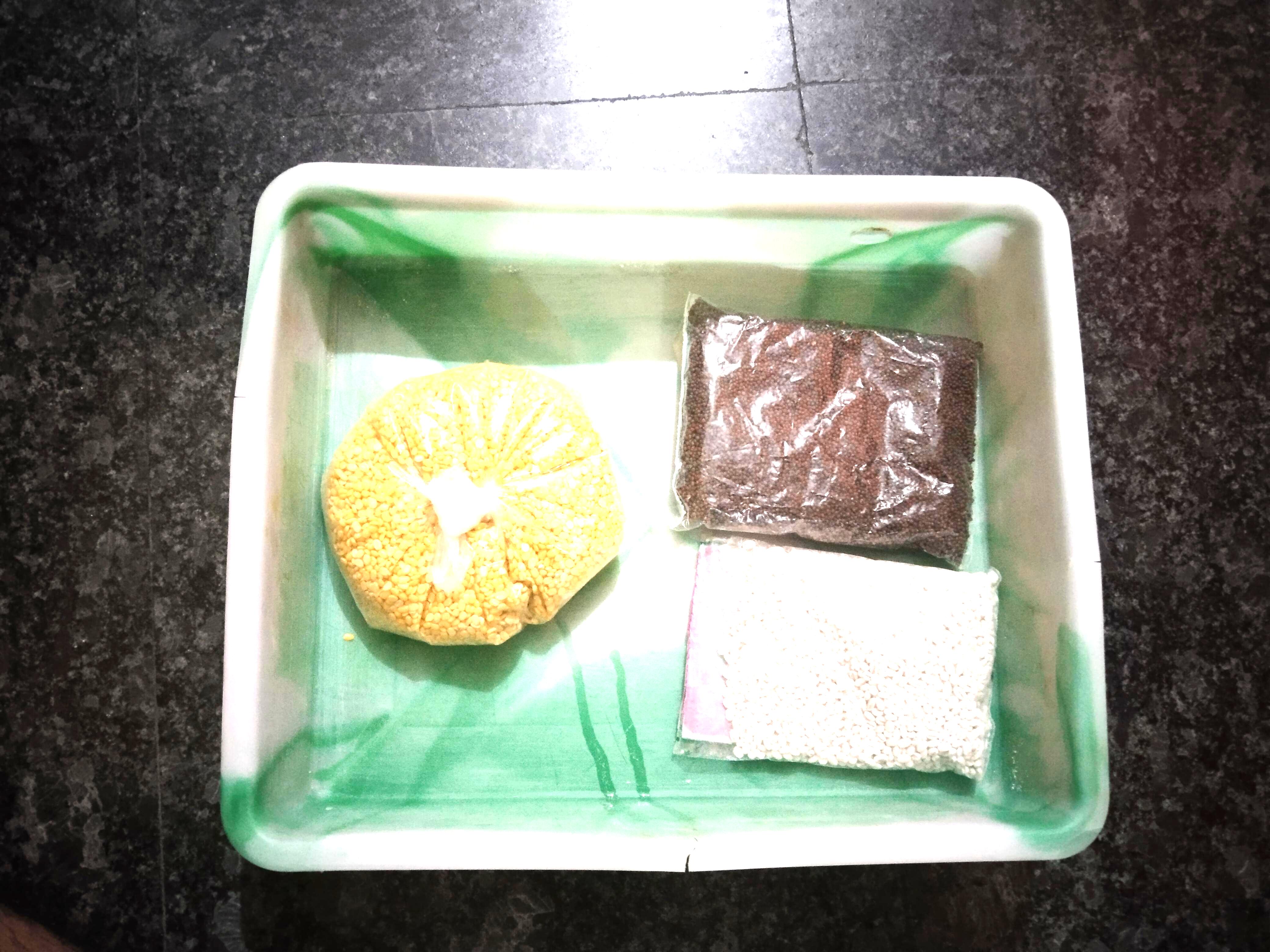 AdversePP Object Detection Model by Capstone