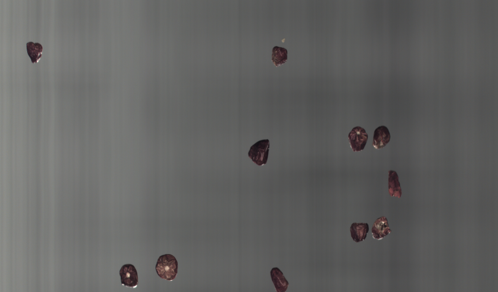 Test Pepper Instance Segmentation Dataset by Test Pepper
