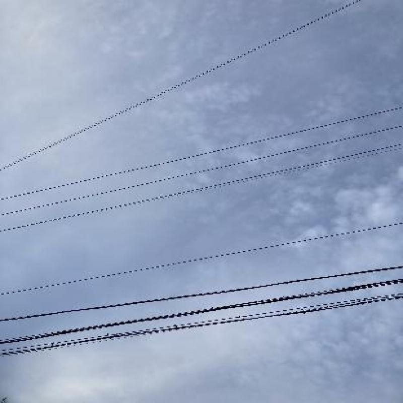 wire Instance Segmentation Dataset by OSP Workspace