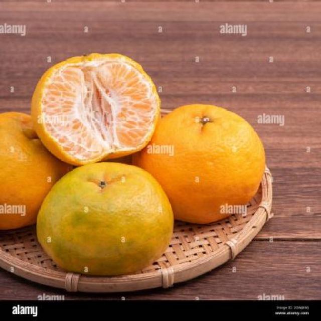 fresh orange Object Detection Dataset by wa