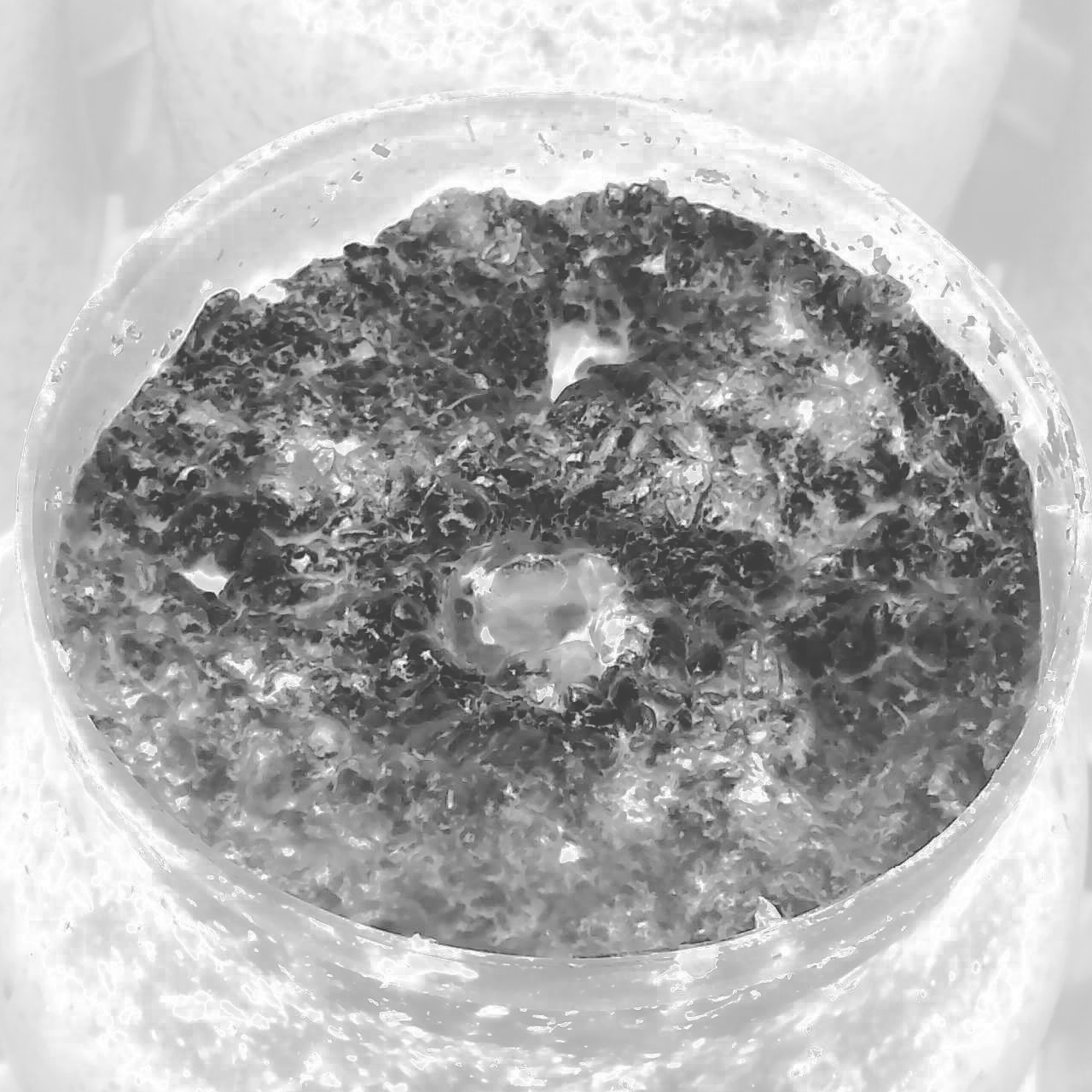 njd Object Detection Dataset and Pre-Trained Model by project-ptya1