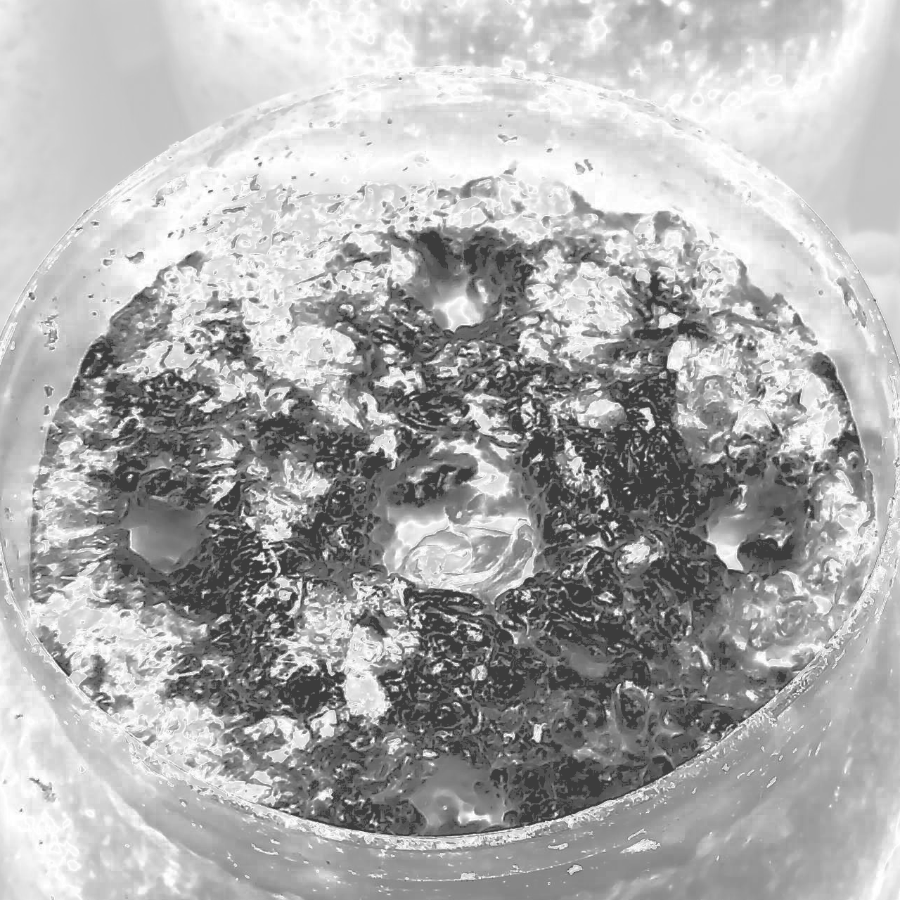 njd Object Detection Model (v5, 2024-05-13 9:34pm) by project-ptya1