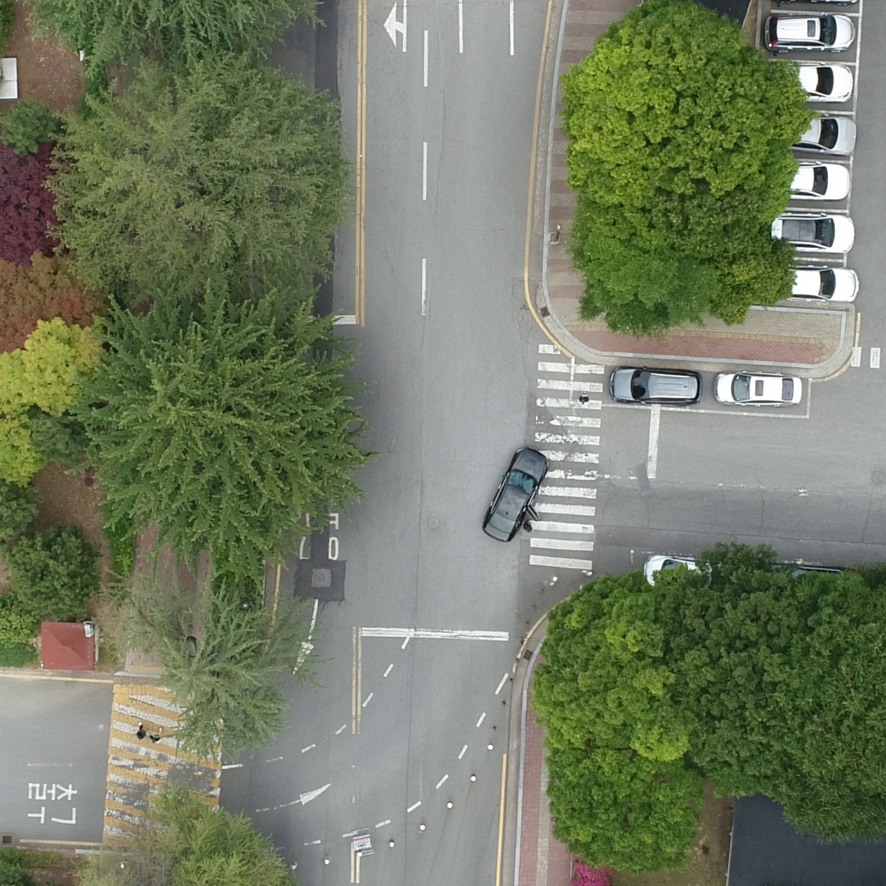 Yolo Object Detection Object Detection Dataset And Pre Trained Model By 8527