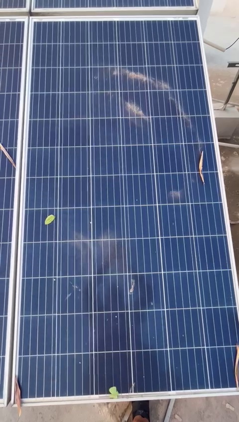 Solar Fault Detection V2 Object Detection Model by carbrand