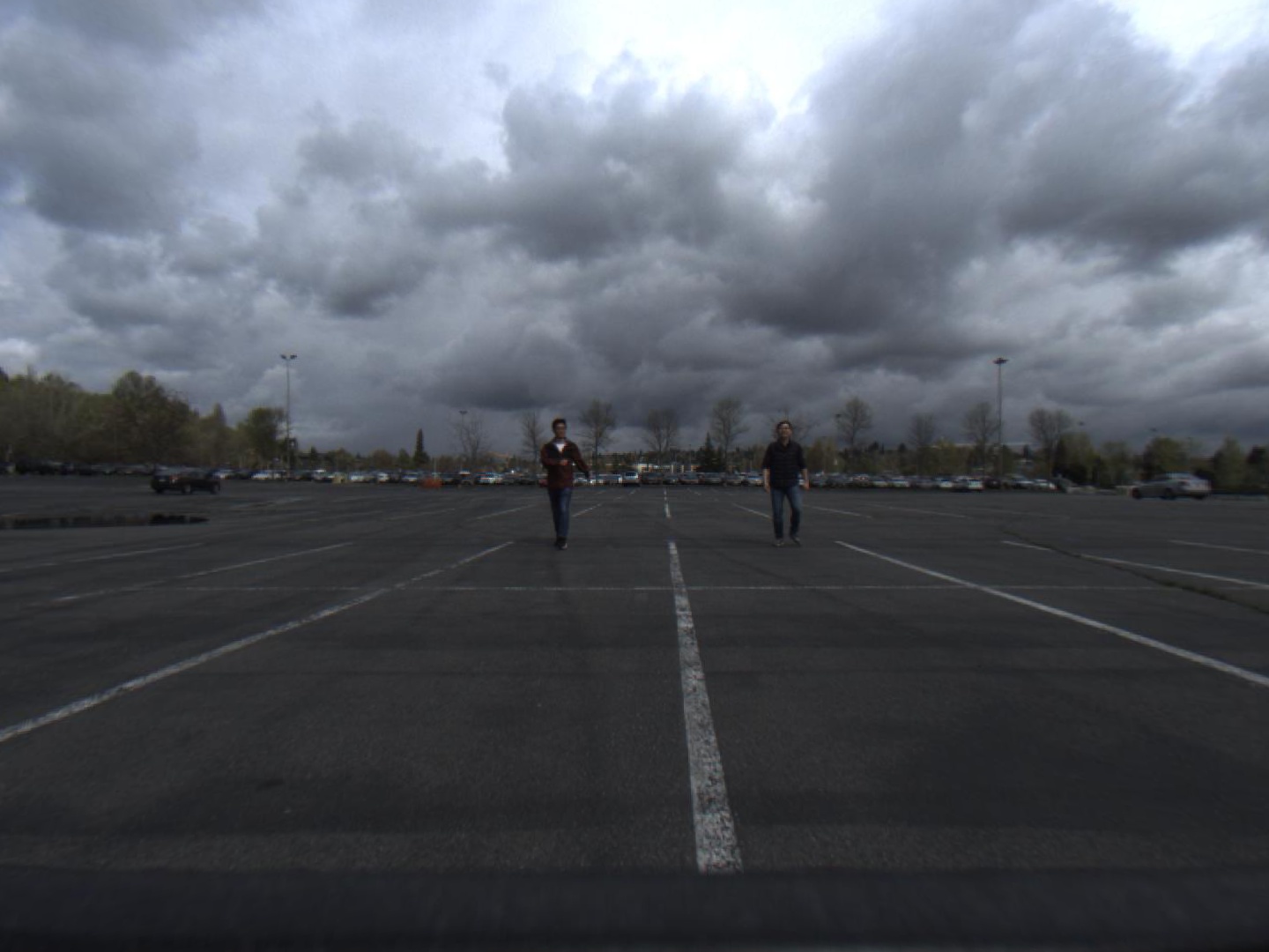 Person Detection Object Detection Dataset By Sagar Patel