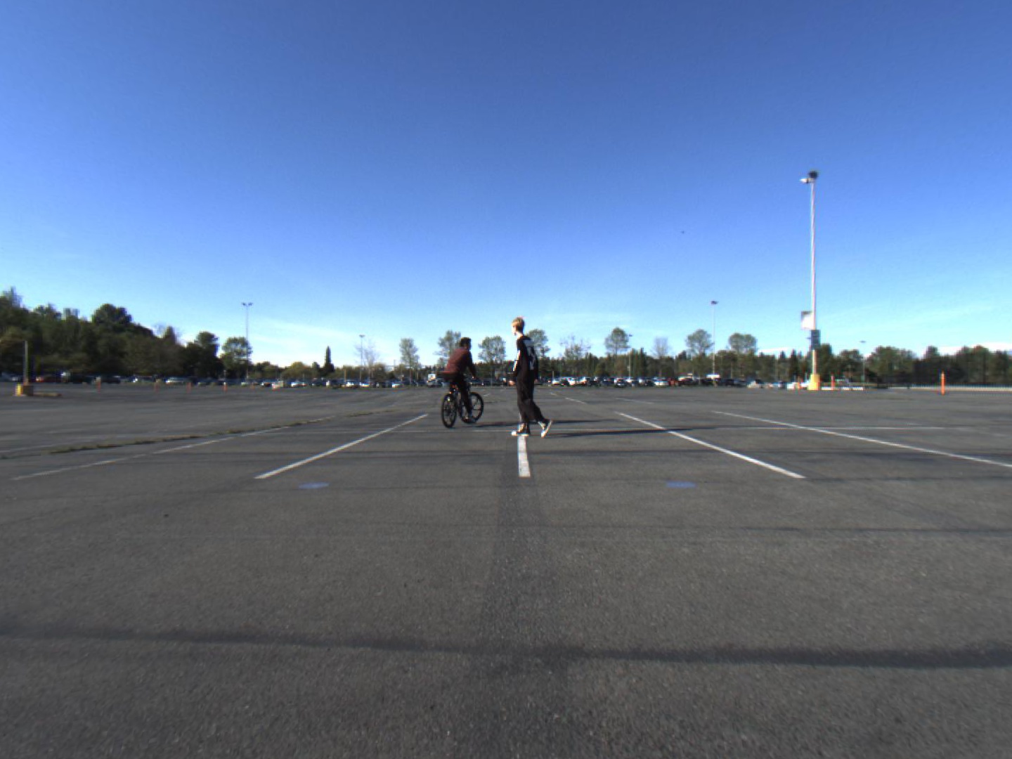 P C project(pbms002) Object Detection Dataset by sagar patel