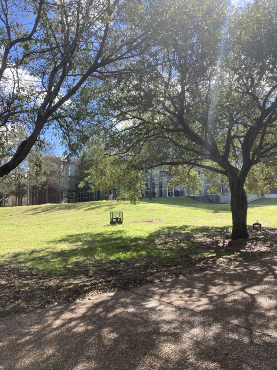 How to Use the Panther Visual Object Detection API