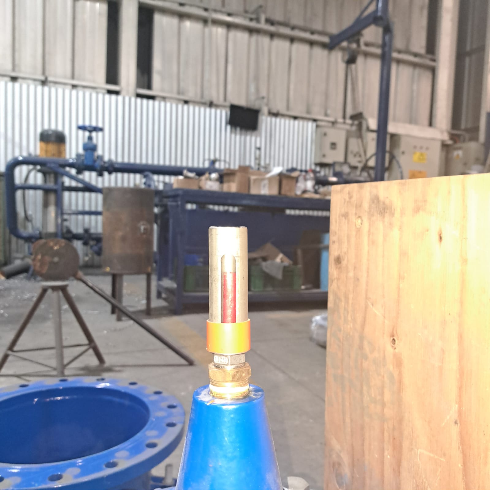 Stem Indicator Detection Object Detection Dataset By Awais Ahmad