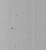 yolo augmentation Classification Dataset by SeedImaging