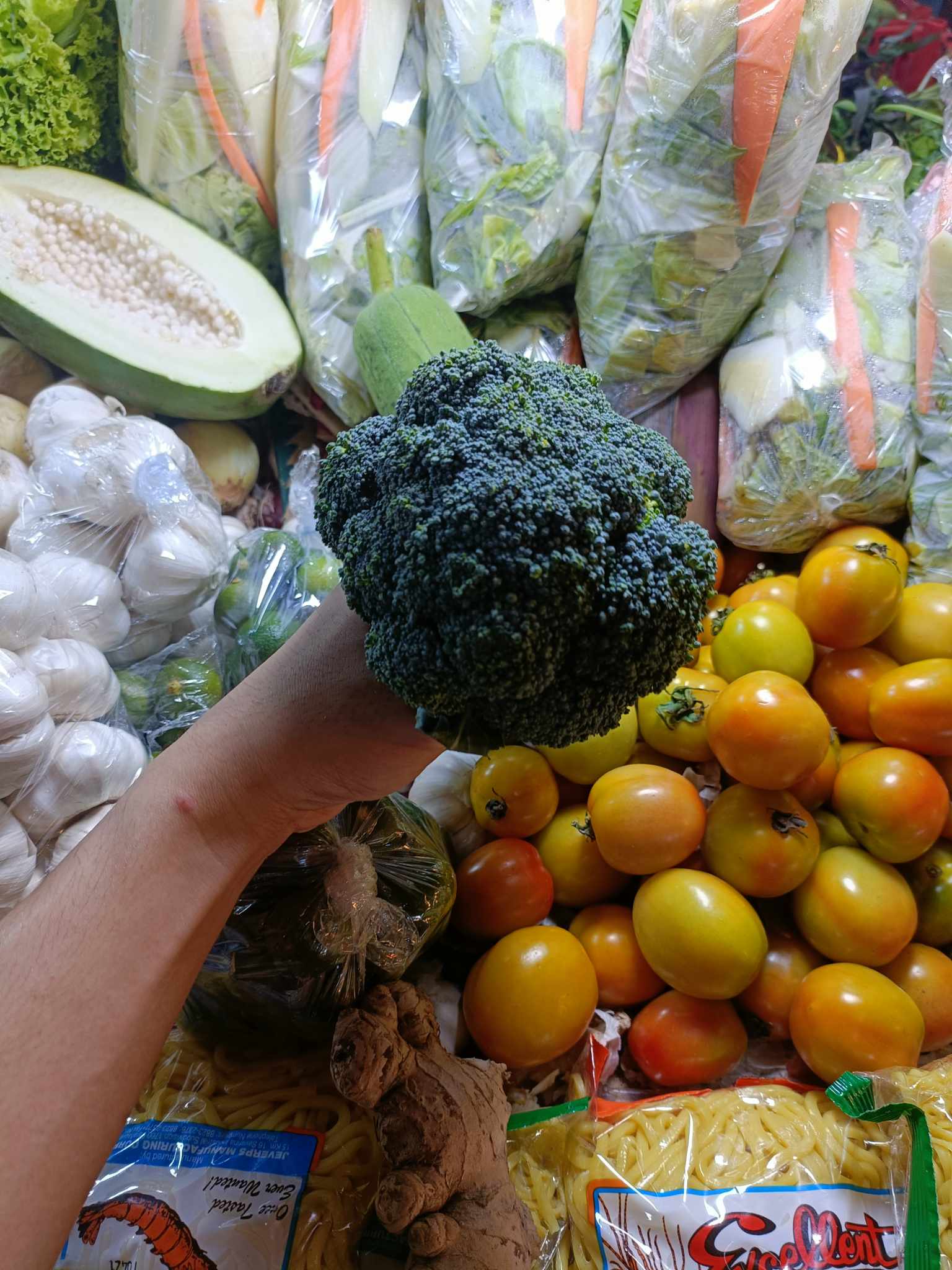 Personal Dataset 2 Instance Segmentation Model by Colegio De Muntinlupa