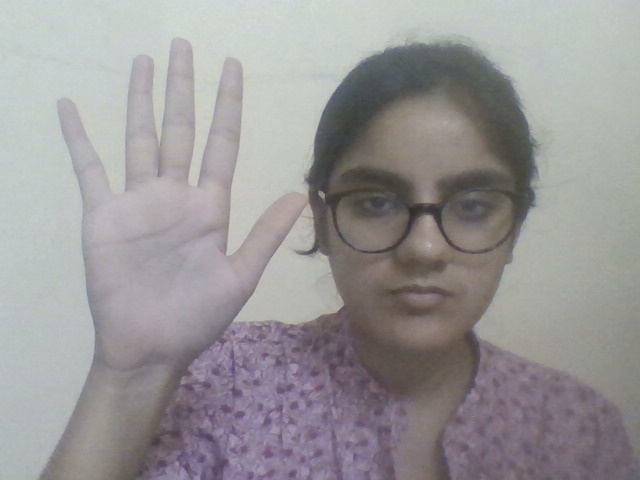 Realtimeobjectdetection Object Detection Dataset And Pre Trained Model By Workspace