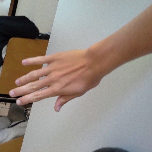 Rock Paper Scissor Object Detection Dataset by SKKU AI Education