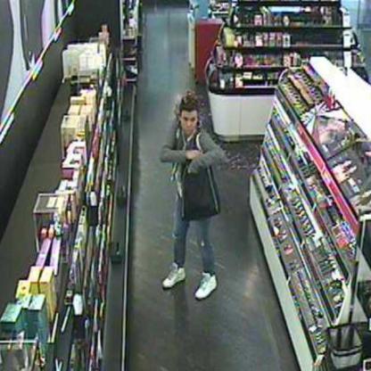 shoplifting Keypoint Detection Model by eceyilmaz