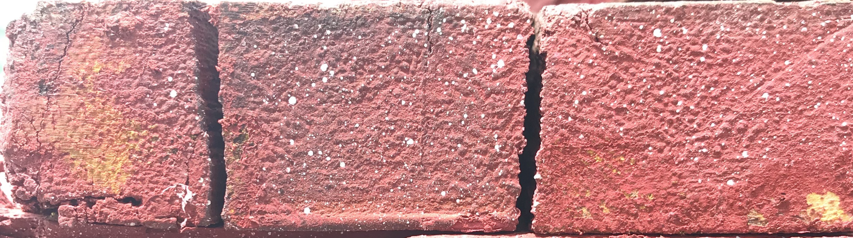 damage-pallet-v2 Instance Segmentation Model by pallet