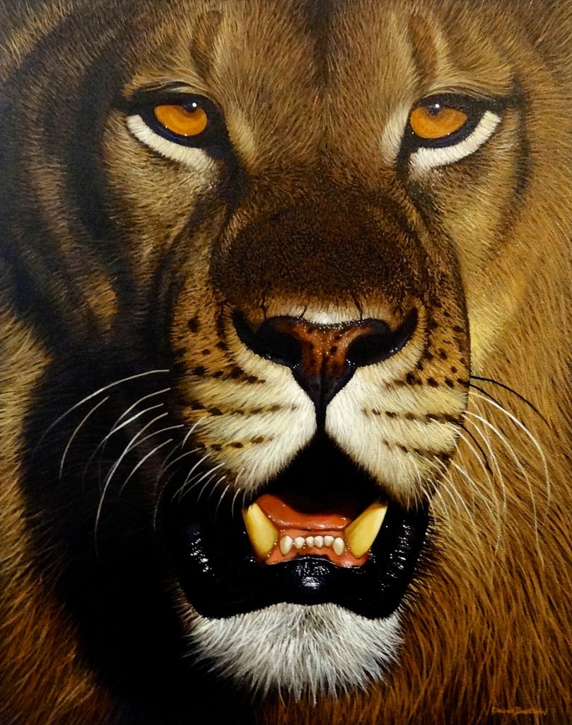 Tiger Detection Object Detection Dataset and Pre-Trained Model by ...