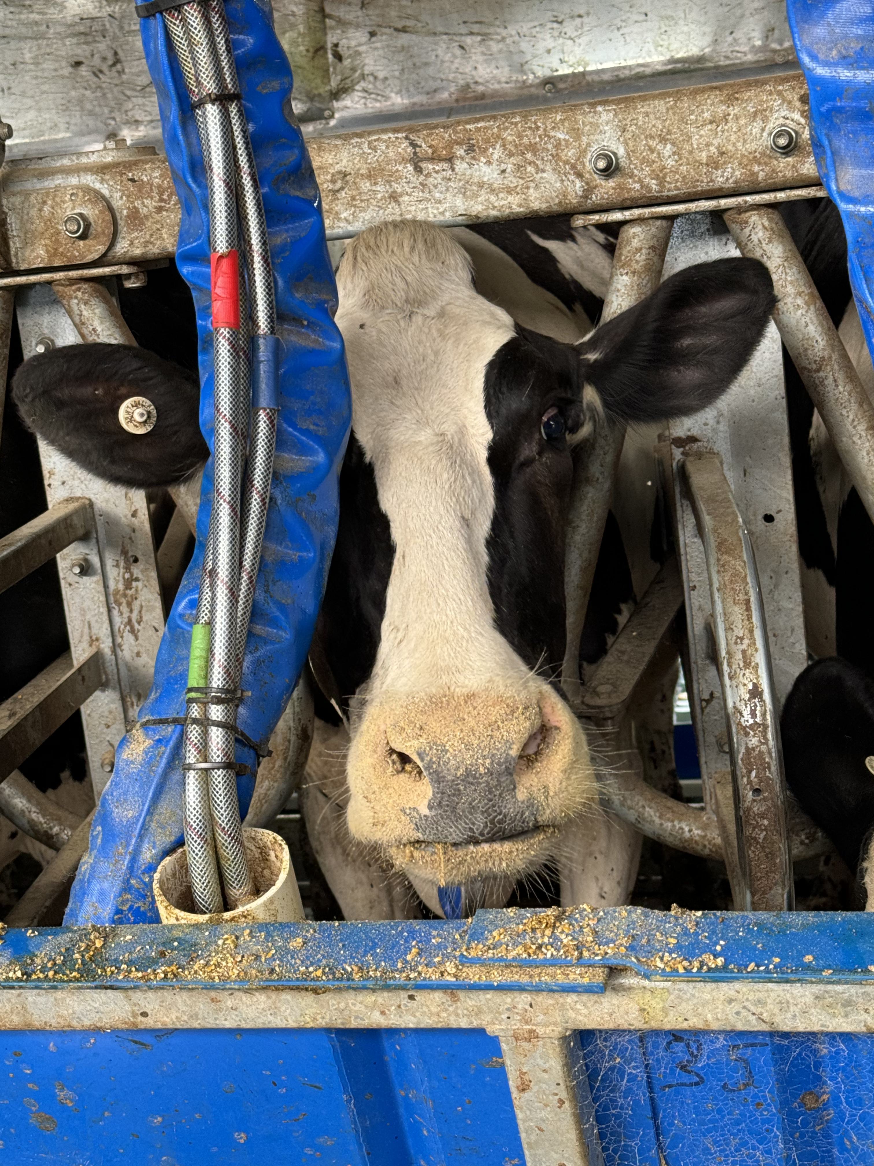 AVR-OD Object Detection Dataset and Pre-Trained Model by Agribio