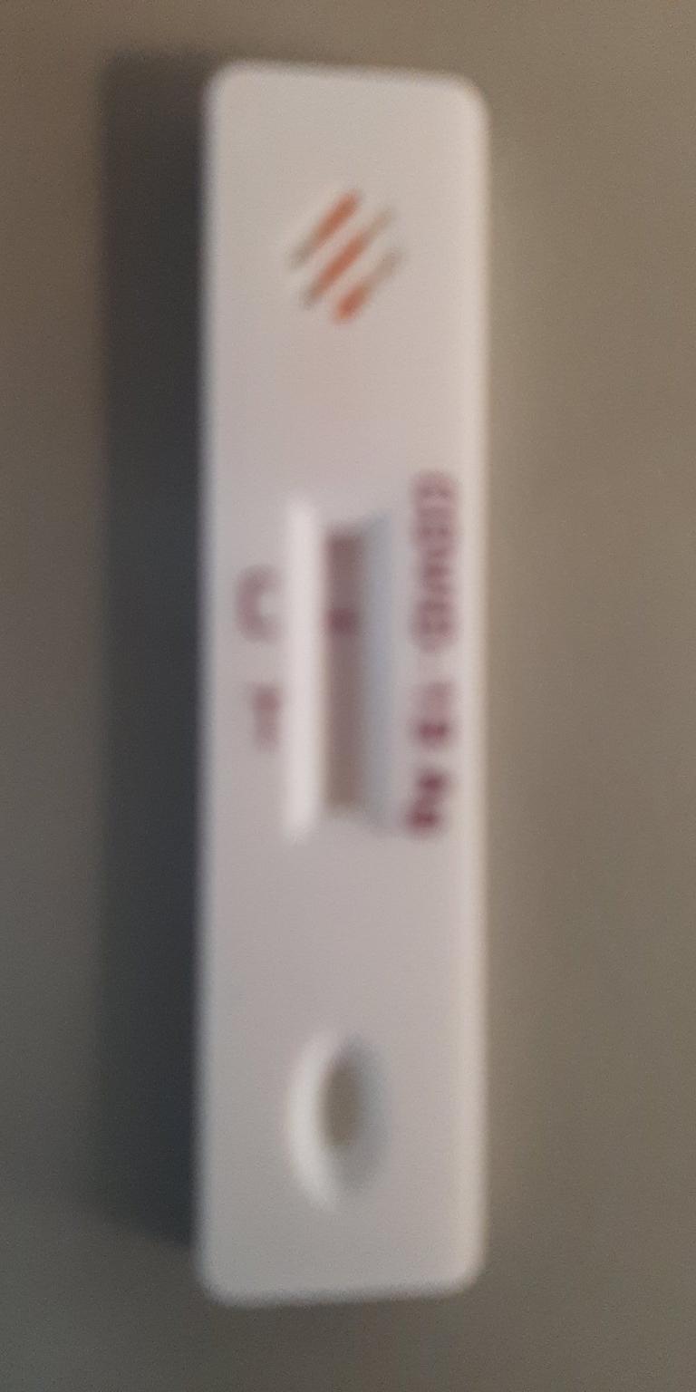 kit_detect Object Detection Dataset by kit anotate