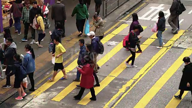 Sdsadsa Object Detection Dataset By Le Van Thien