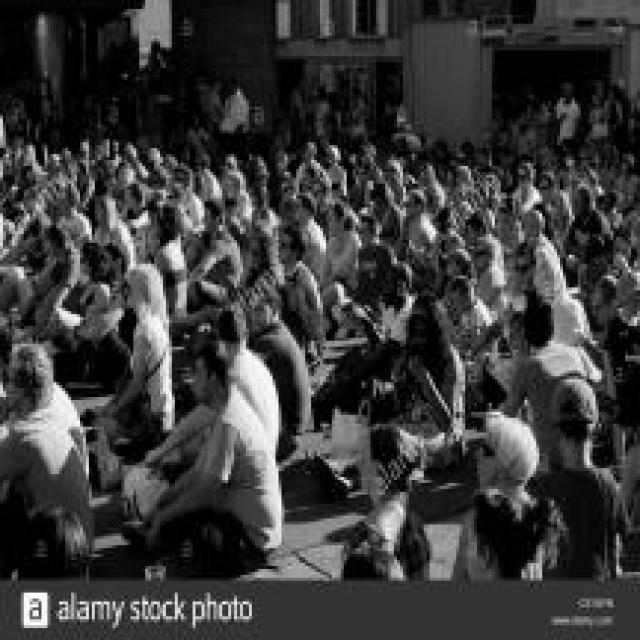 crowd Object Detection Model by p
