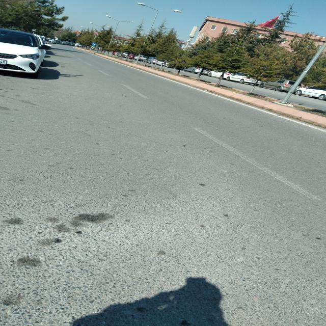 Lane Detection3 Instance Segmentation Model by My Projects