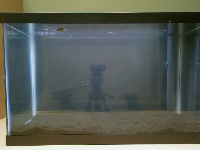 Matthew Loewen - Roboflow Universe