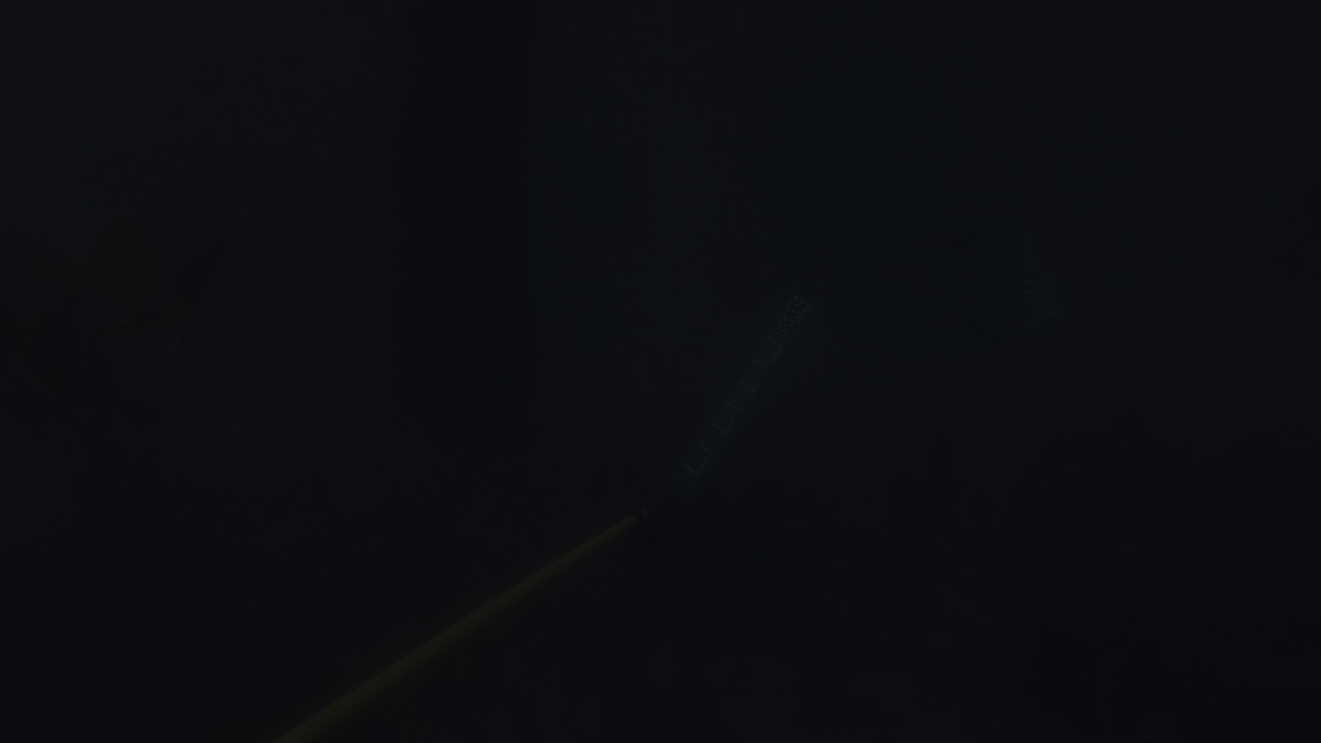 fish Object Detection Dataset by Tomme