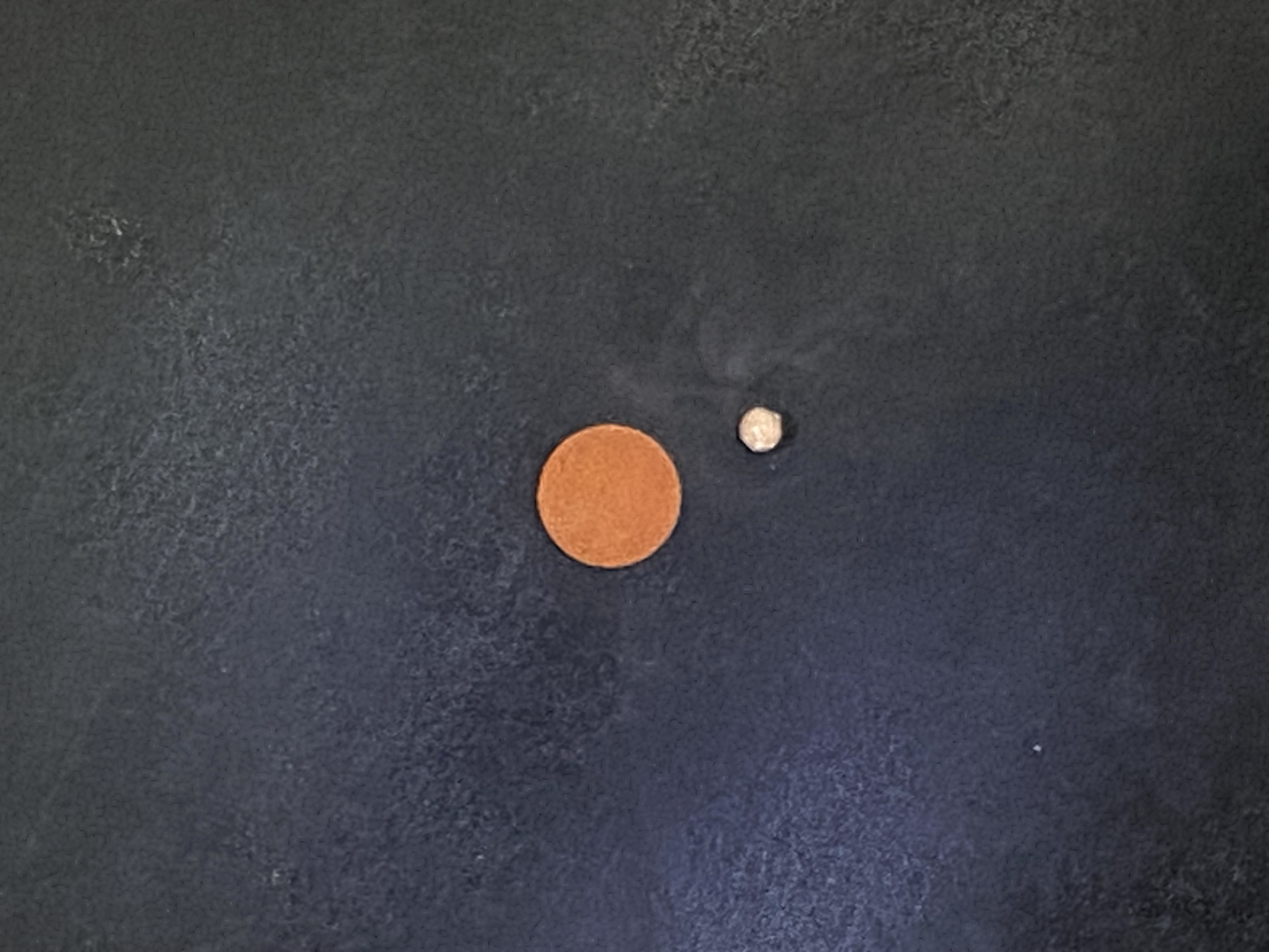 Circle Segmentation Instance Segmentation Dataset by BioDot