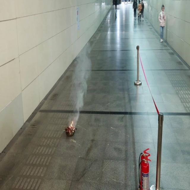 val Instance Segmentation Dataset by Youngjin