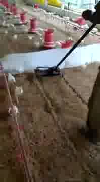 Poultry Management Object Detection Dataset by NayanaRaju