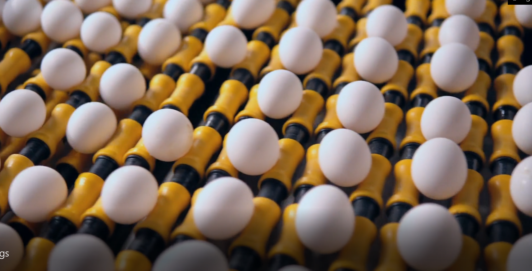 Eggs Object Detection Dataset by construction site
